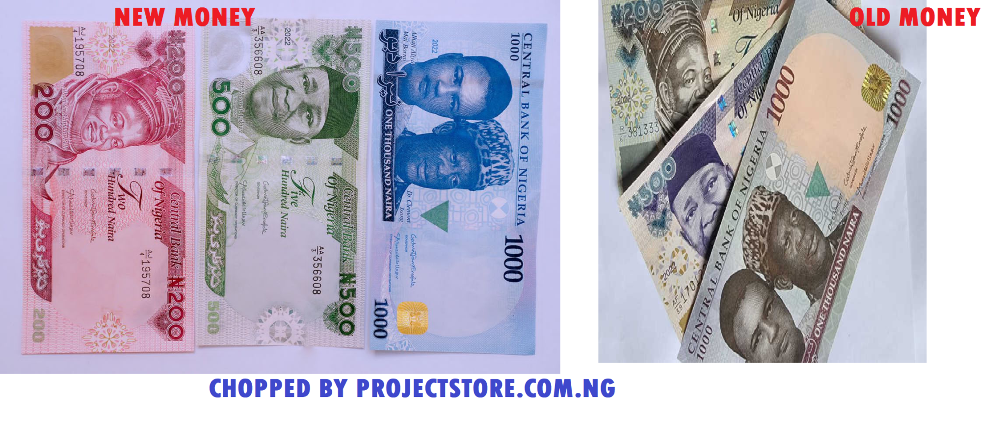 Impact of Naira Redesign on the Socio-Economic Development of Nigeria
